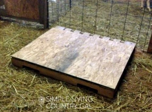Building A Raised Goat Bed DIY | Simple Living Country Gal