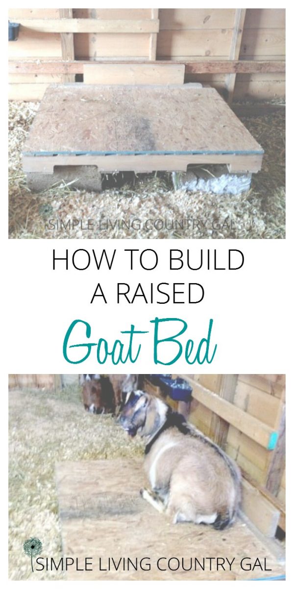 Building A Raised Goat Bed DIY | Simple Living Country Gal