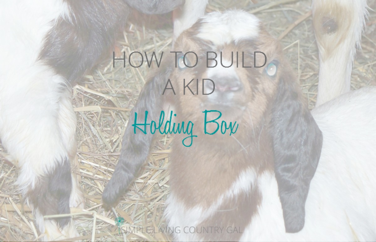 Building A Kid Holding Box | Simple Living Country Gal