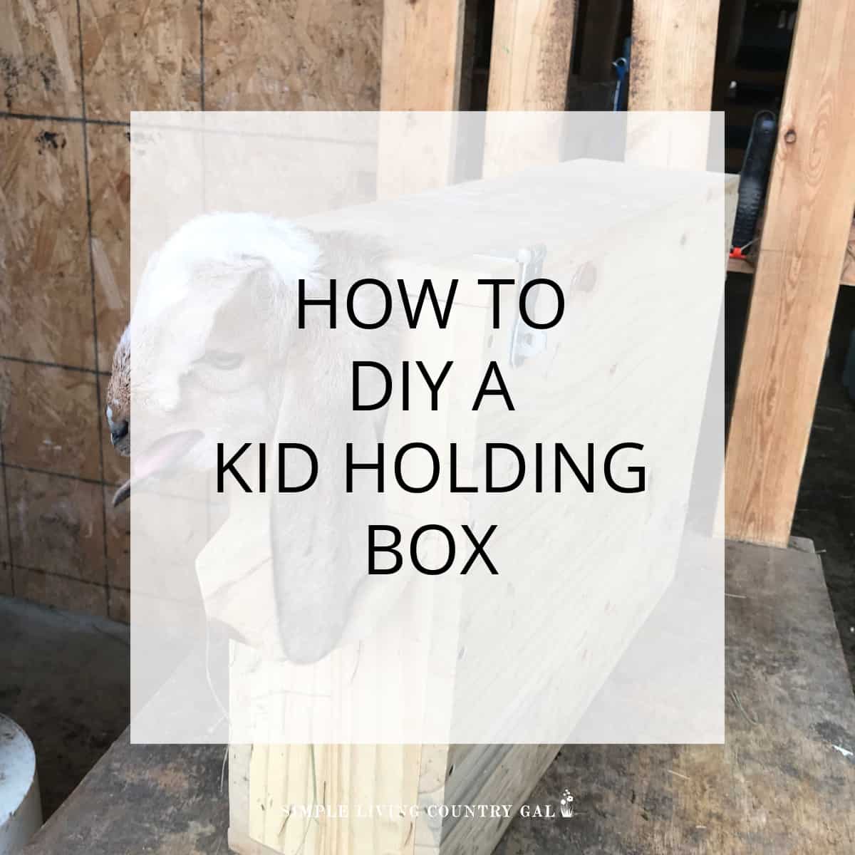 Building A Kid Holding Box | Simple Living Country Gal