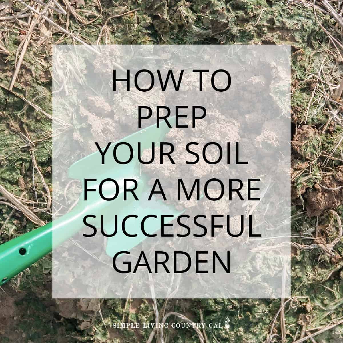 Prepping Soil for a New Garden: Step by Step