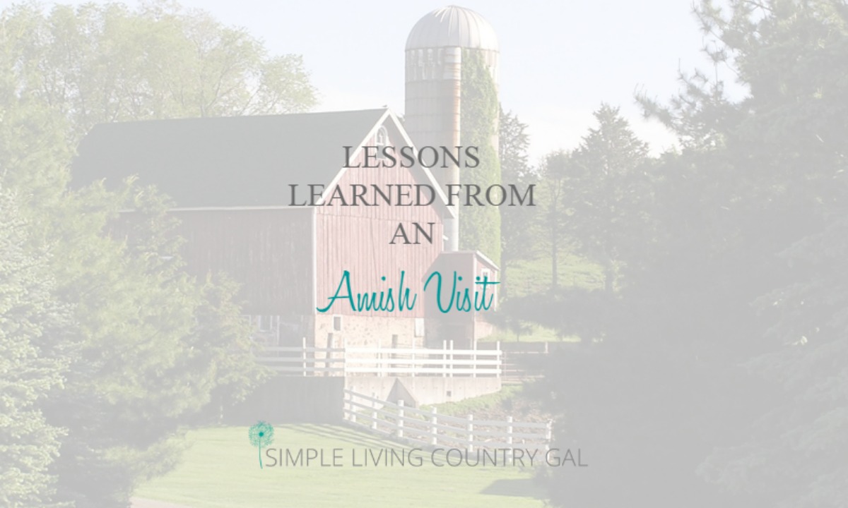 Lessons Learned from an Amish Visit | Simple Living Country Gal