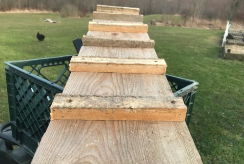 How to DIY a Roost for your chickens | Simple Living Country Gal
