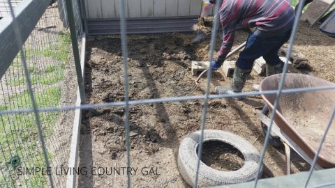 Cleaning Out The Chicken Coop Naturally and Safely | Simple Living ...
