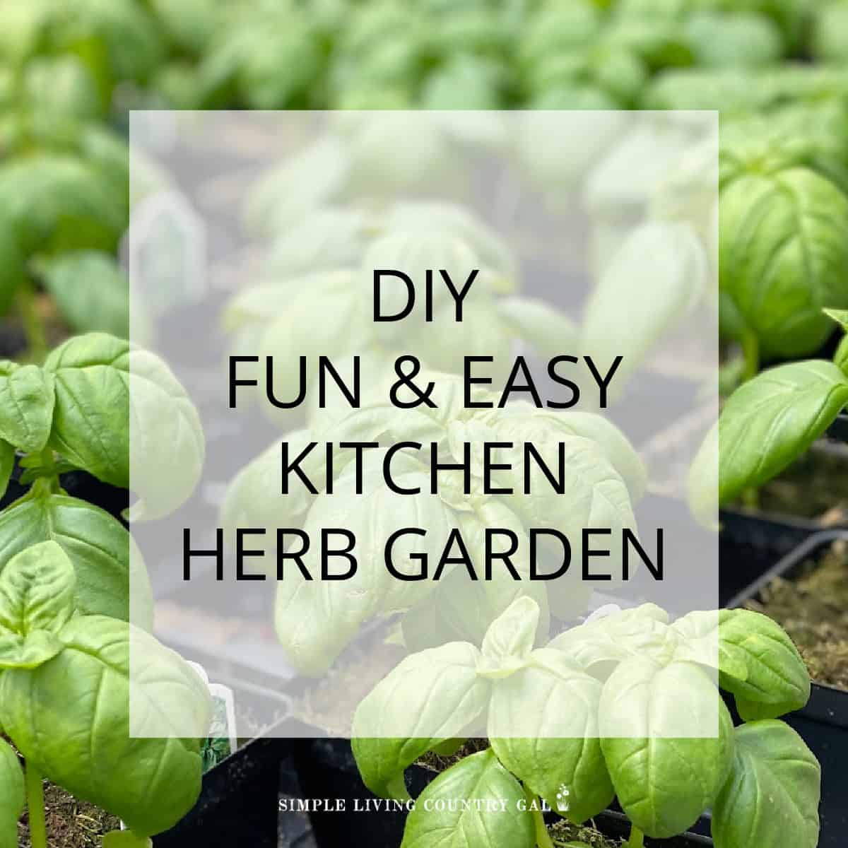 So Simple DIY Kitchen Herb Garden | Simple Living Country Gal