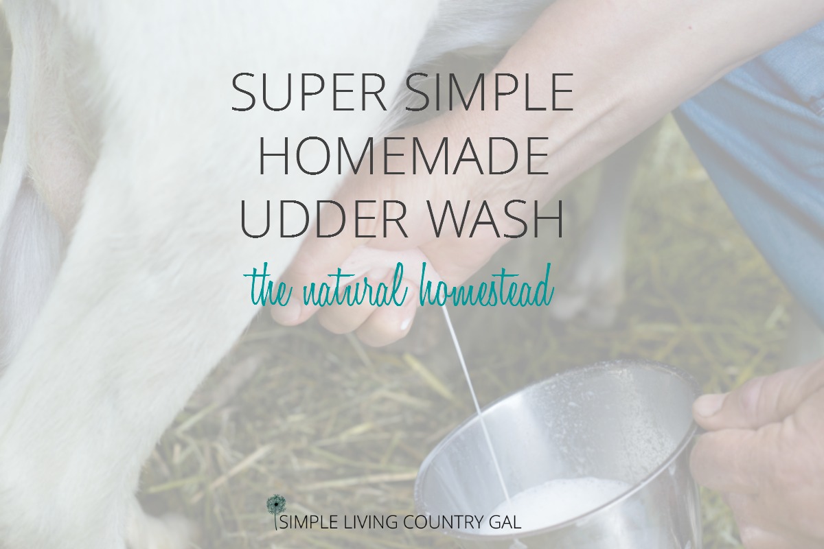 Super Simple DIY Udder Wash | Simple Living Country Gal