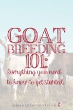 The Essential Guide to Goat Breeding 101: Getting Started | Simple ...