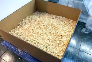 Affordable Baby Chicks Ducks Housing: A DIY Guide