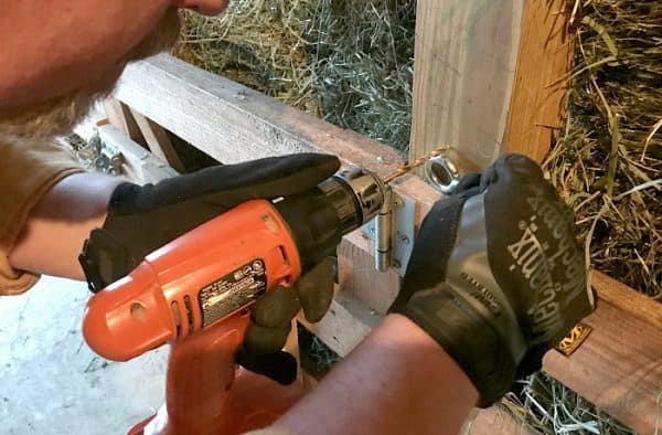 How to Feed Tethered Rowdy Goats | Simple Living Country Gal