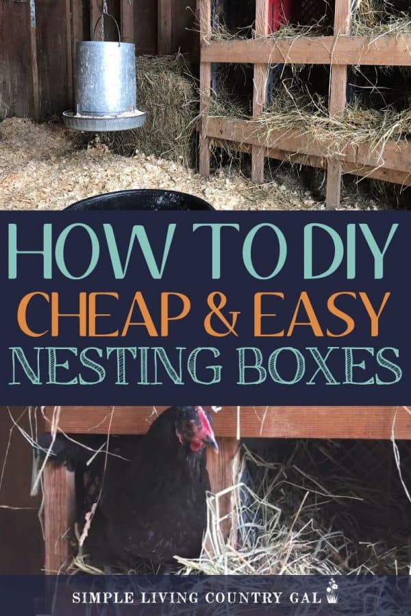 Building Milk Crate Chicken Nesting Boxes | Simple Living Country Gal