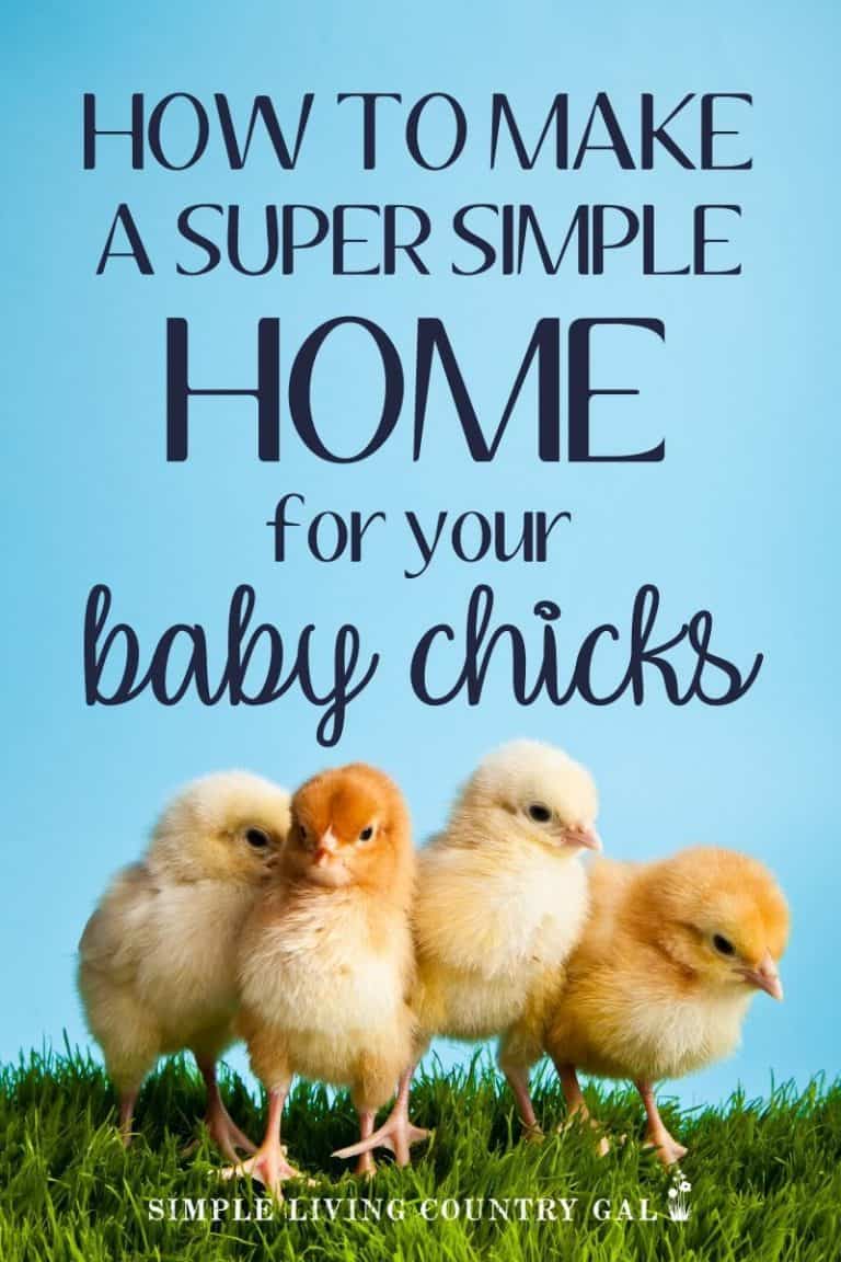 Simple & Cheap Housing for Baby Chicks | Simple Living Country Gal