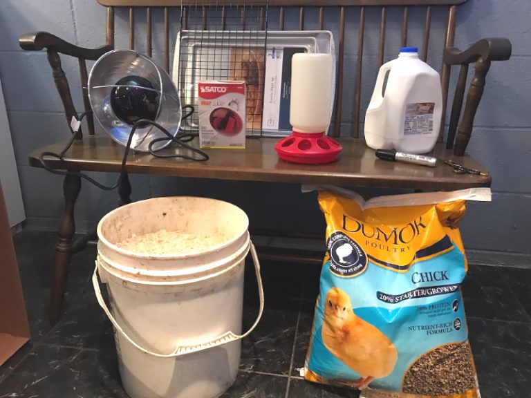 Setting Up A DIY Brooder Box For Ducklings | Simple Living Country Gal
