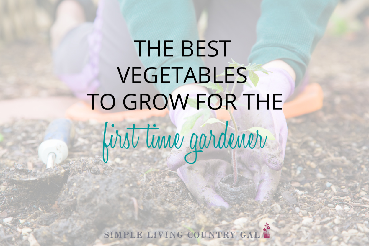 7 Easy First Time Gardener Vegetables to Grow | Simple Living Country Gal