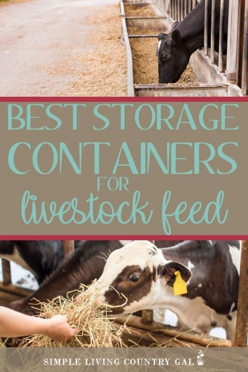 The Best Livestock Feed Storage Containers | Simple Living Country Gal