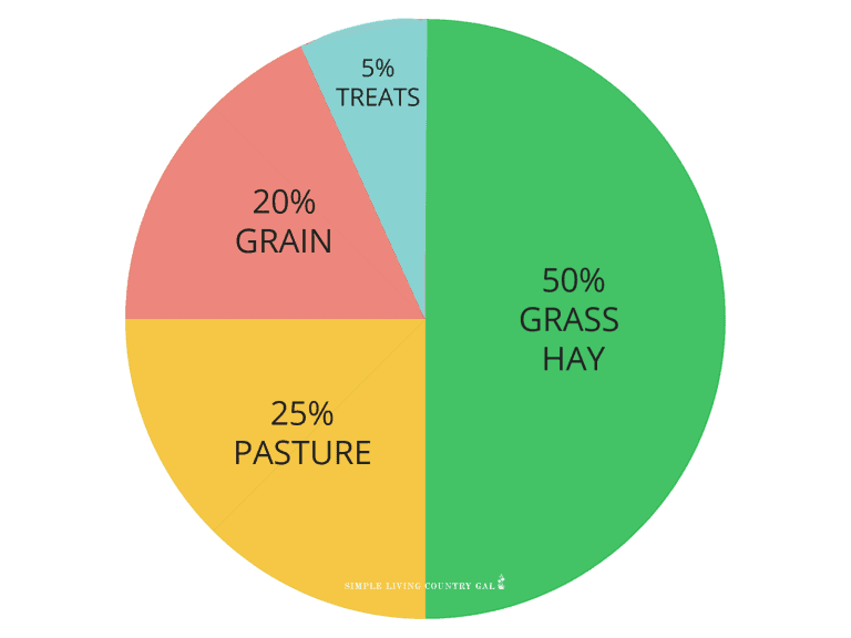 Best Hay to Feed Goats: A Complete Guide | Simple Living Country Gal