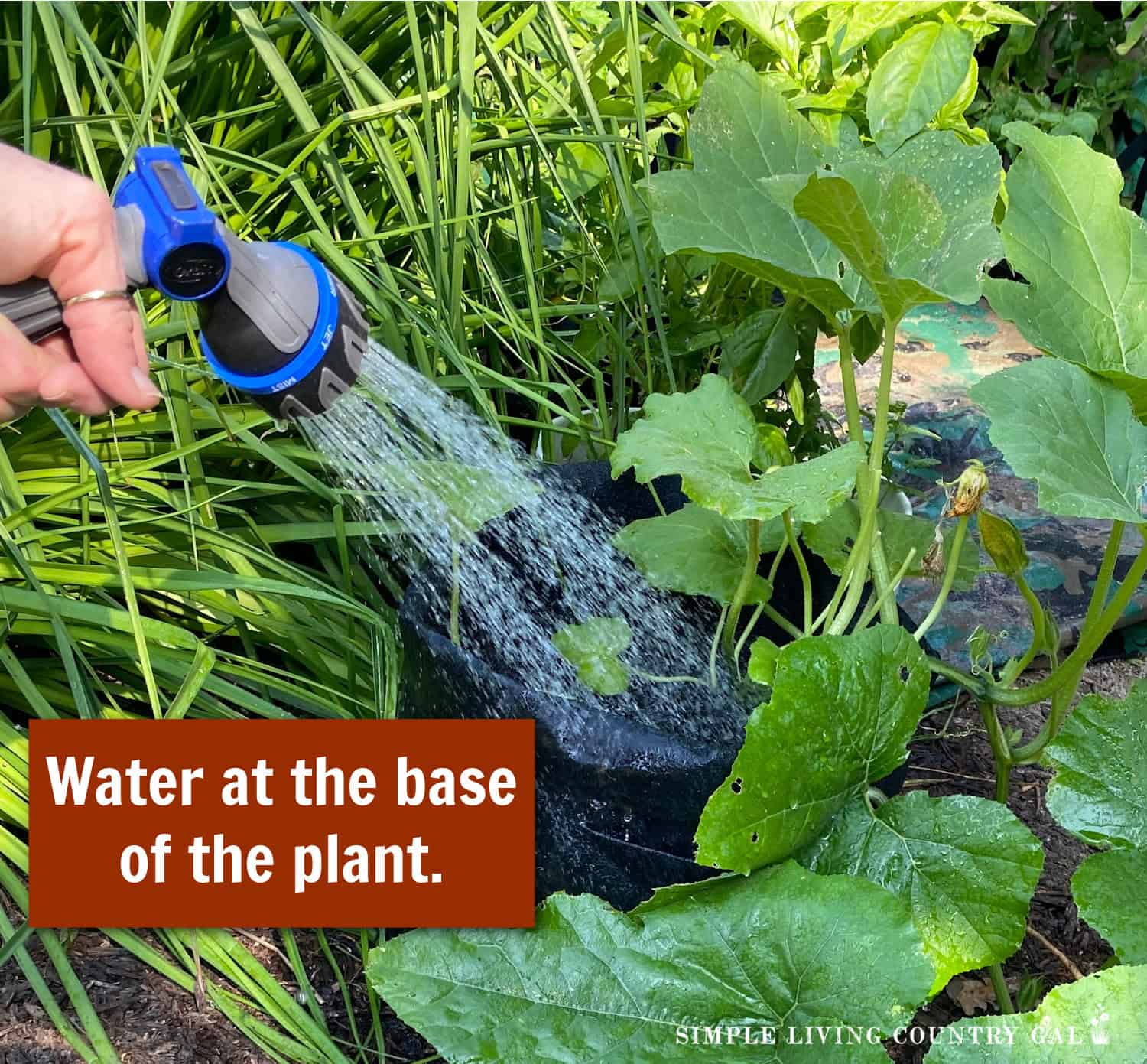 How To Water Your Garden To Get The Best Results | Simple Living ...