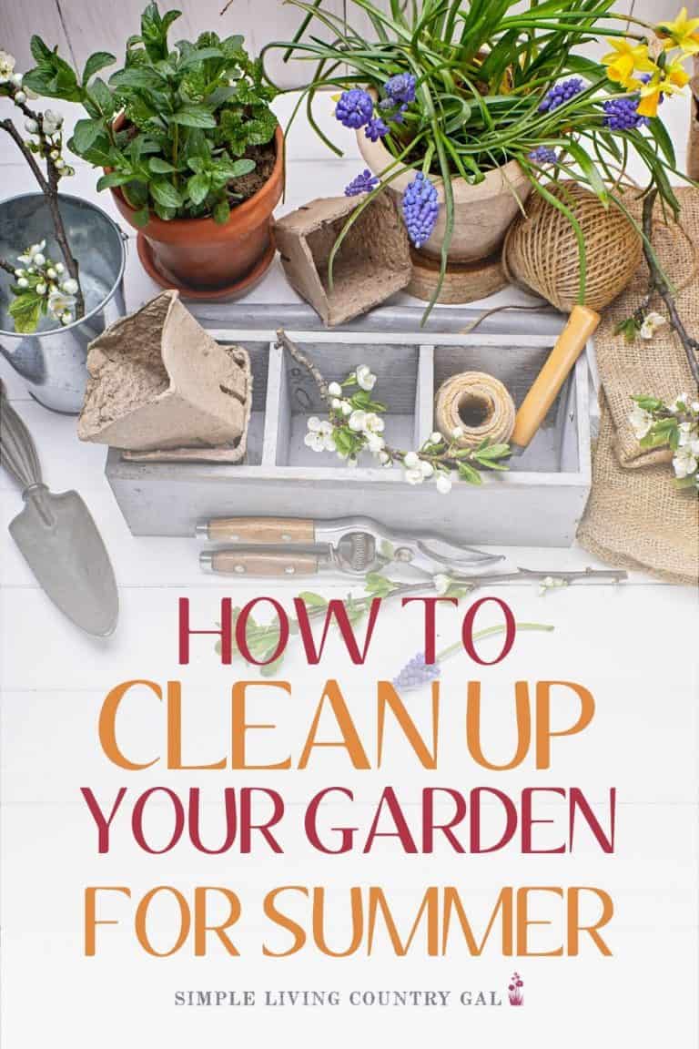 How to Prepare Your Garden for Summer. Garden Clean Up Checklist ...