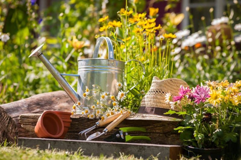 Prepare Your Garden for Planting with This Clean Up Checklist | Simple ...