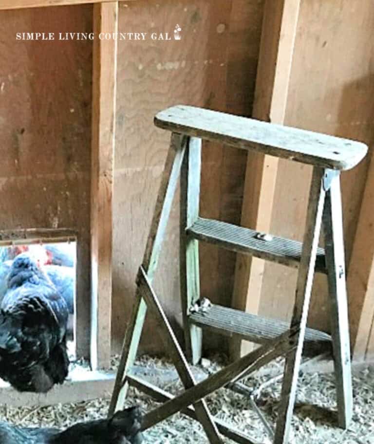 How to DIY a Roost for your chickens | Simple Living Country Gal