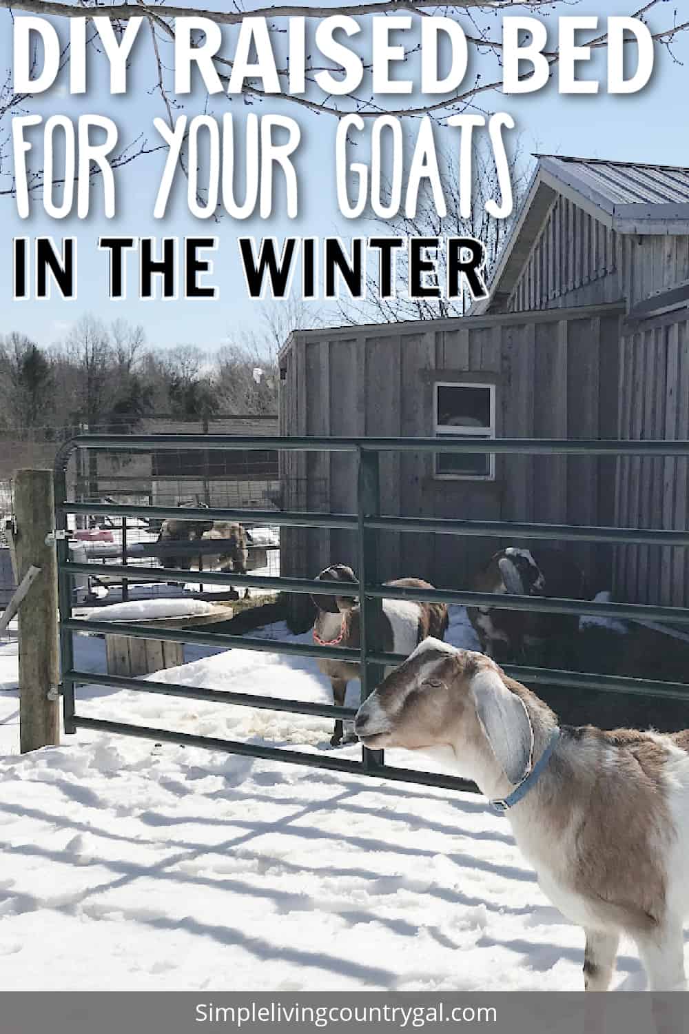 Building A Raised Goat Bed DIY | Simple Living Country Gal