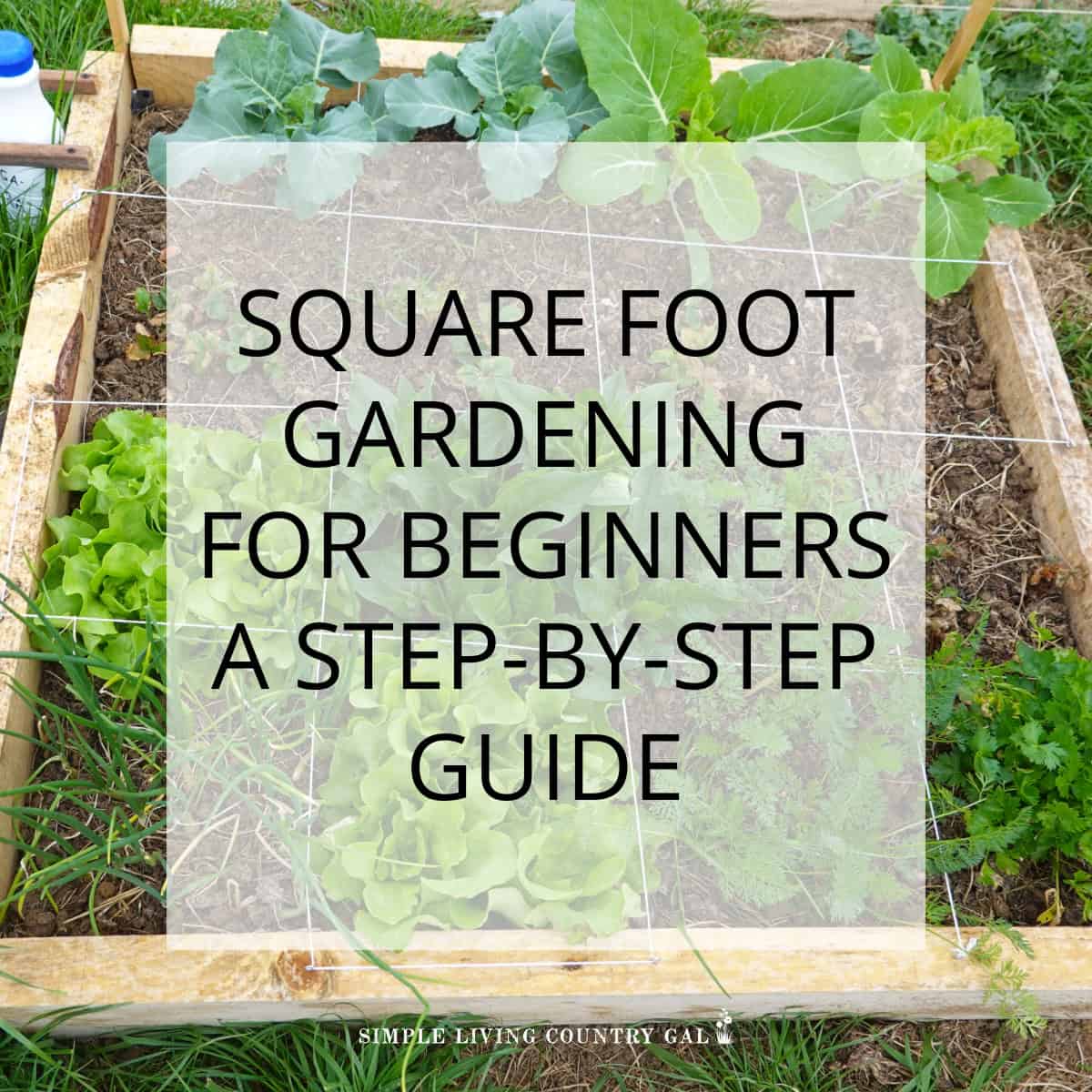 Square Foot Gardening Cold Box