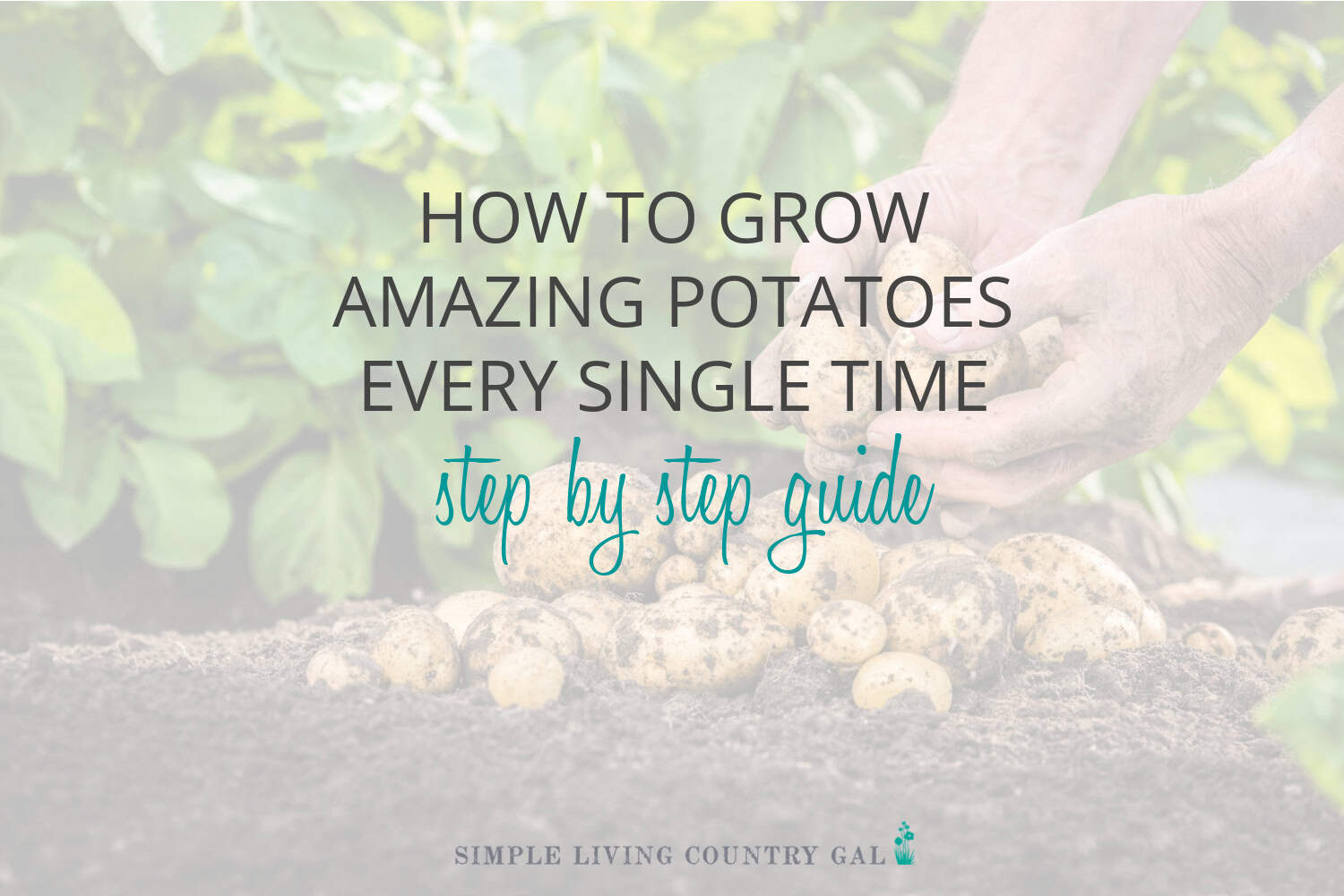 How to Grow Potatoes for Beginners | Simple Living Country Gal