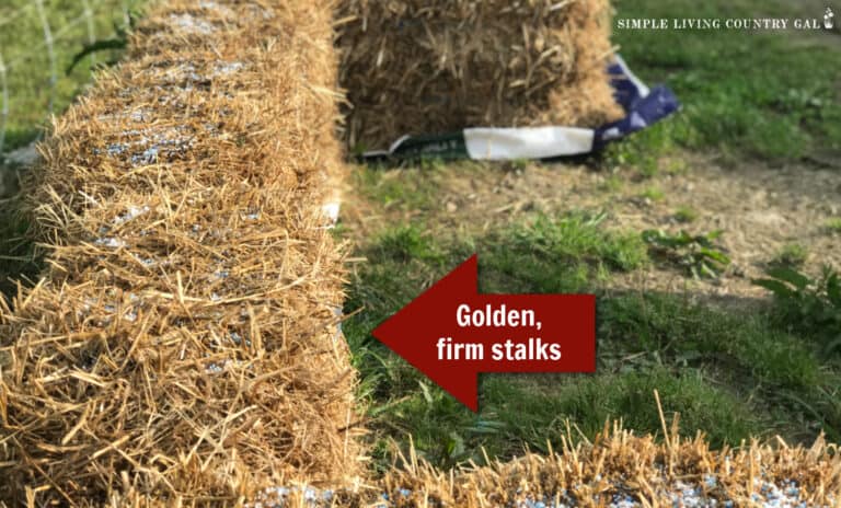 What is the Difference Between Hay and Straw? | Simple Living Country Gal