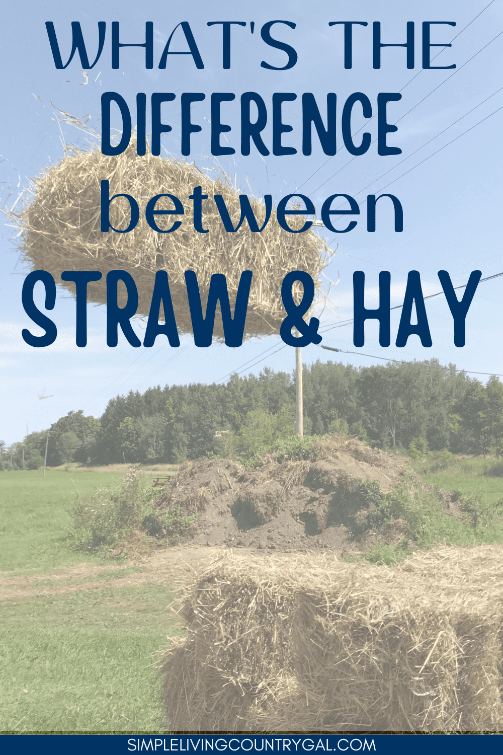What is the Difference Between Hay and Straw? | Simple Living Country Gal