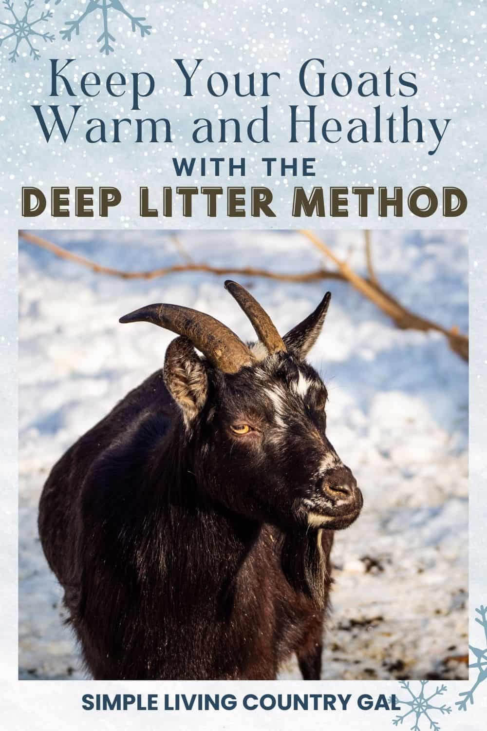 How to Use the Deep Litter Method | Simple Living Country Gal