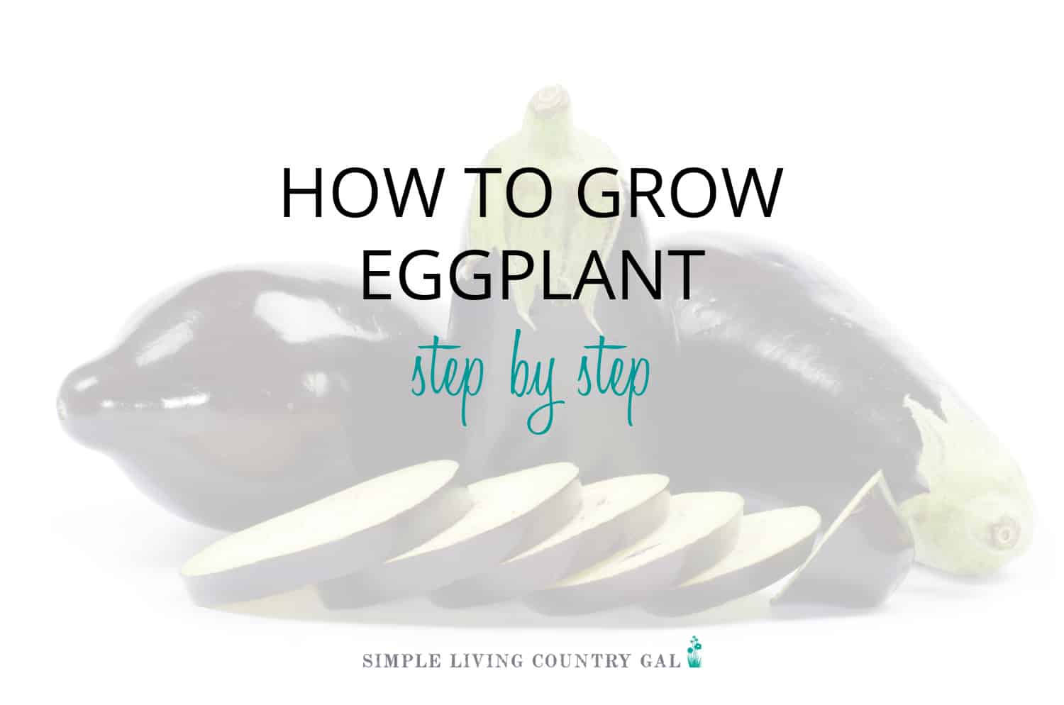 How to Grow Eggplant for Beginners | Simple Living Country Gal How to Grow Eggplant for Beginners | Simple Living Country Gal