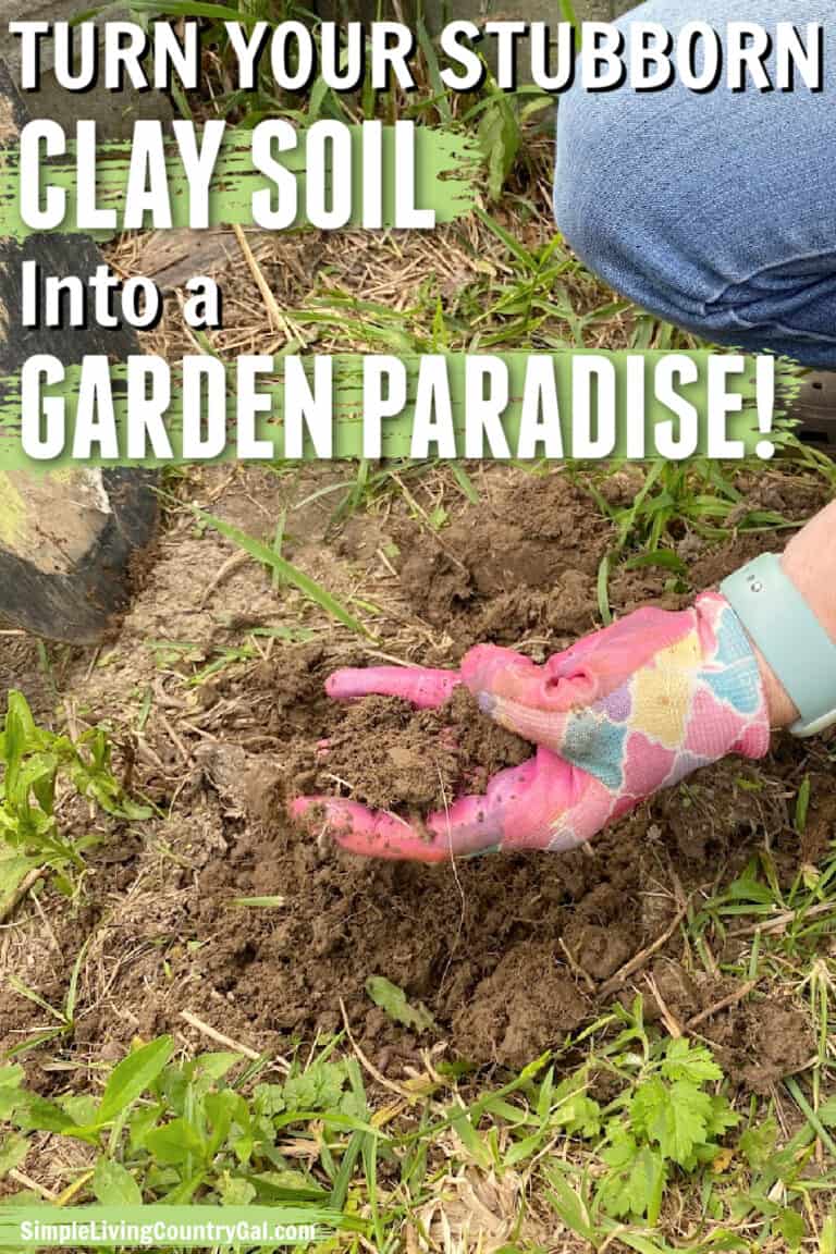 Improving Clay Soil Using Compost: A Simple Guide | Simple Living ...