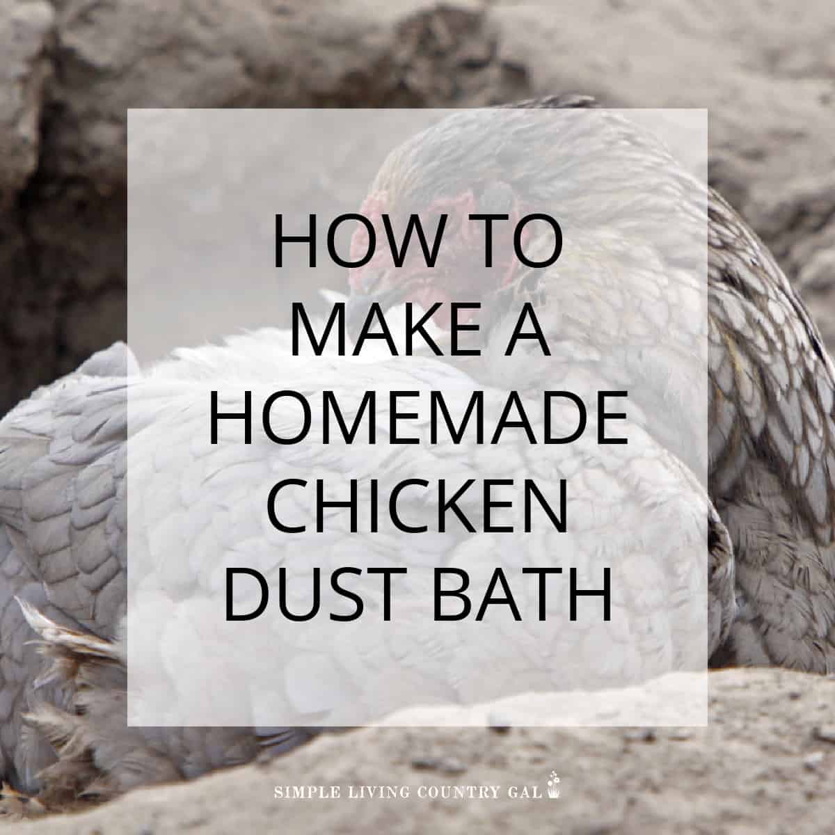Homemade Chicken Dust Bath | Simple Living Country Gal