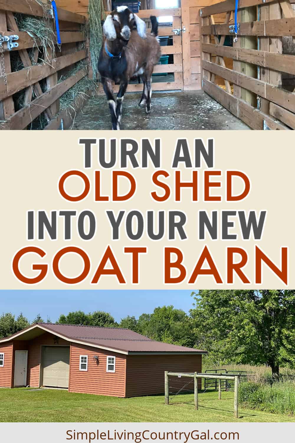 Transform a Shed into a DIY Goat Barn and Save Money | Simple Living ...