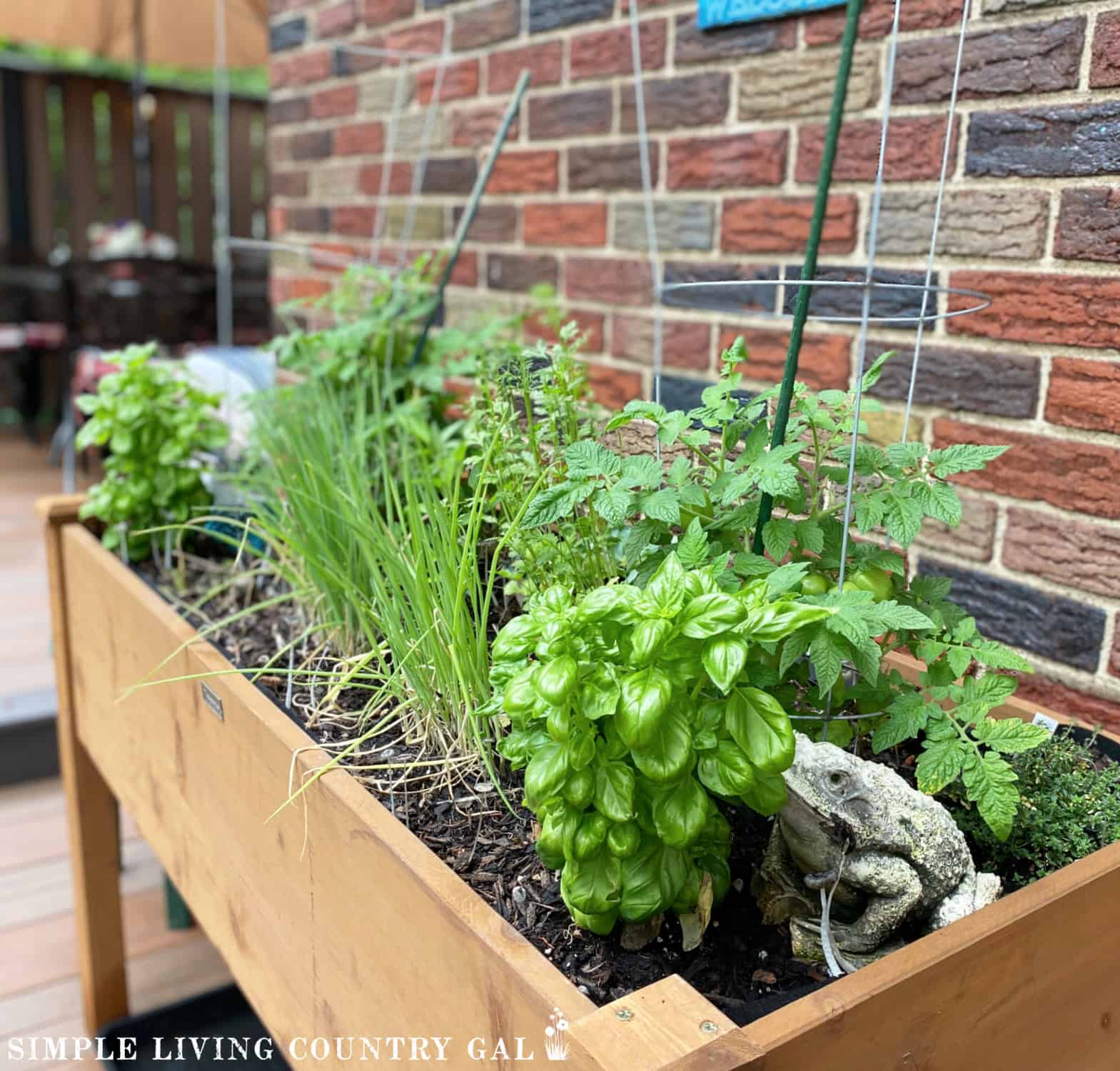 8 Ways to Live a Simple Life | Simple Living Country Gal