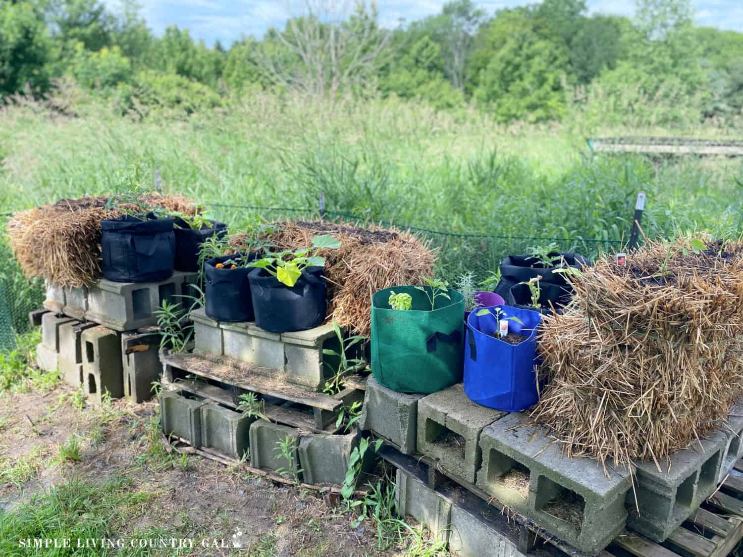 How to Prepare for Homesteading: A Beginner's Guide | Simple Living ...