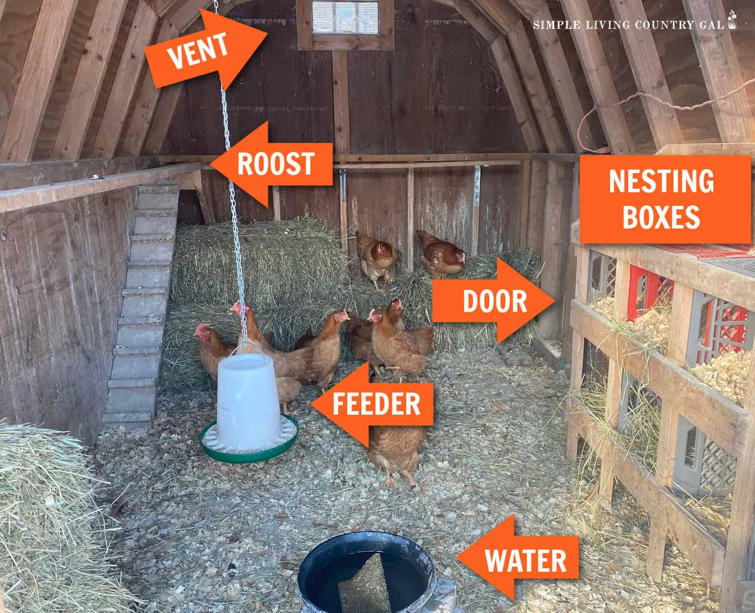 How to Build a DIY Chicken Coop | Simple Living Country Gal