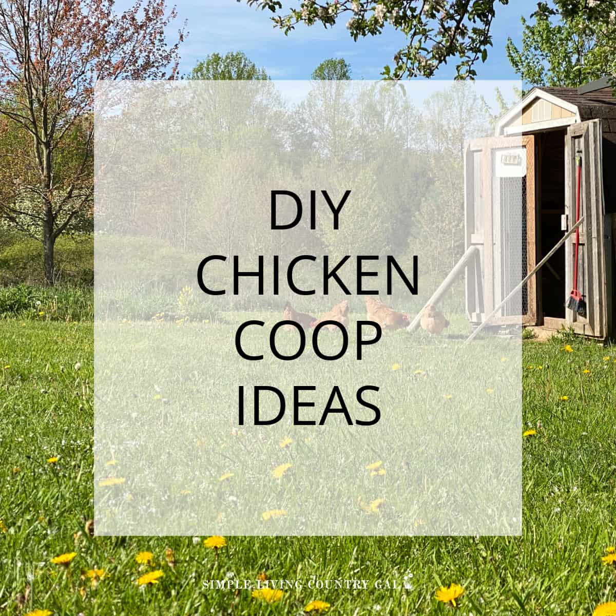How to Build a DIY Chicken Coop | Simple Living Country Gal
