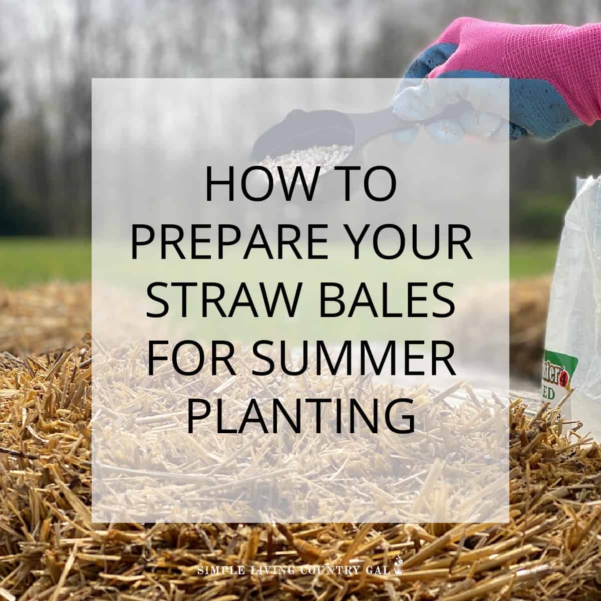 how to prepare straw bales for planting | Simple Living Country Gal