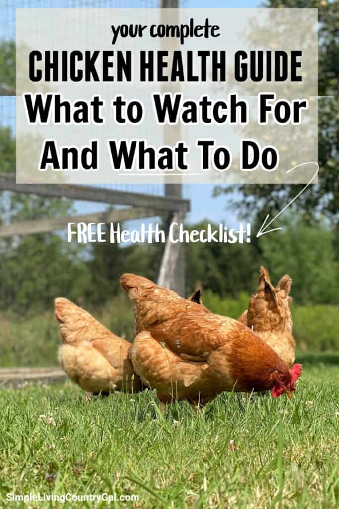Sick Chicken Symptoms: A Guide for Owners | Simple Living Country Gal