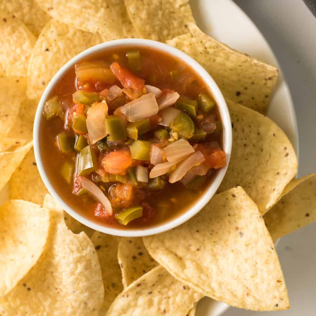 Garden Salsa Recipe | Simple Living Country Gal