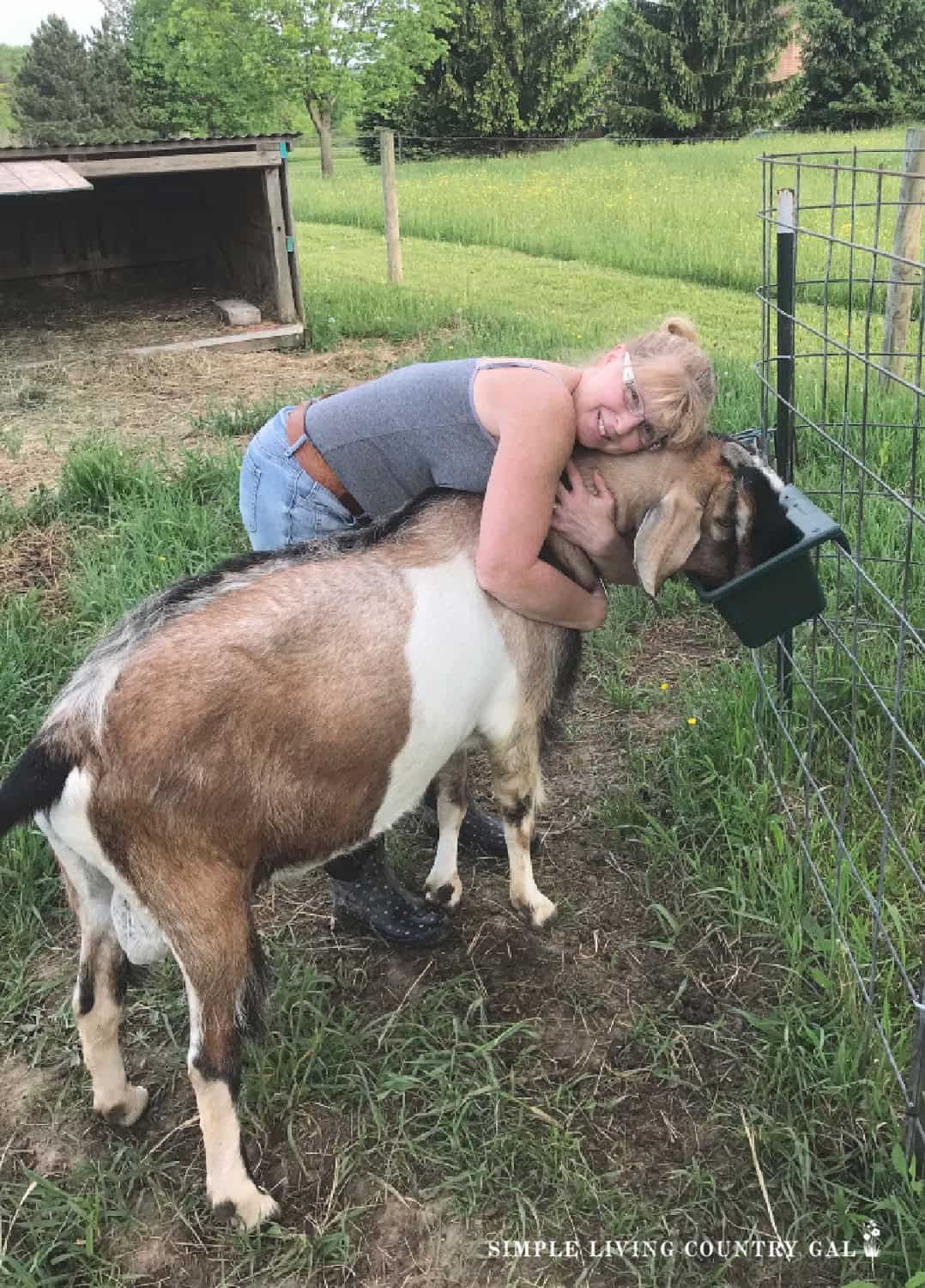 How To Have People-Friendly Goats | Simple Living Country Gal