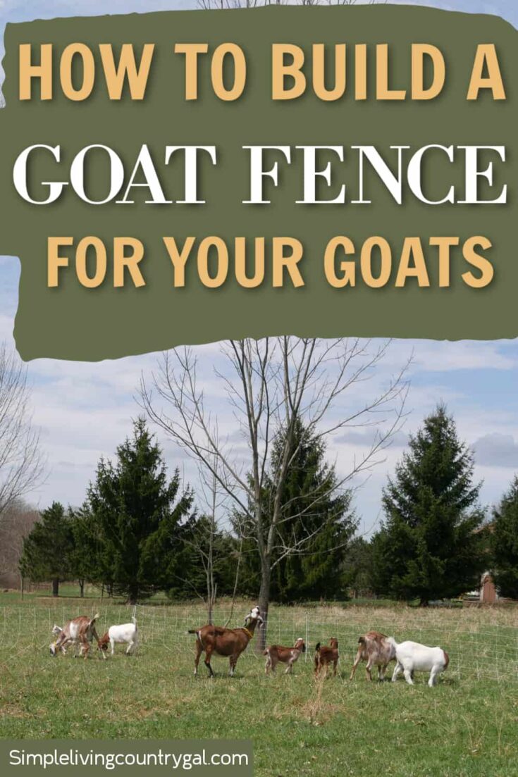 how to build a goat fence | Simple Living Country Gal