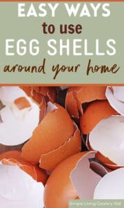 How to use Eggshells | Simple Living Country Gal