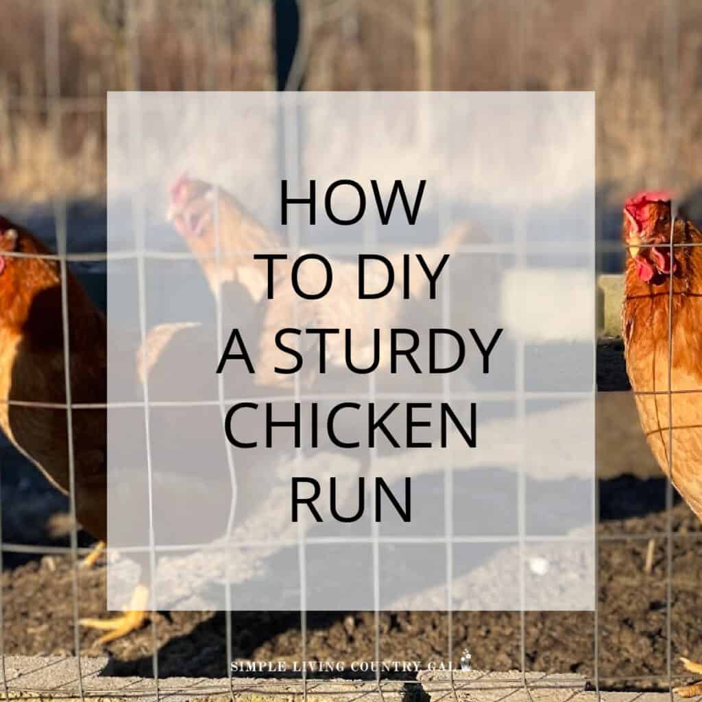 Backyard Chickens Archives Simple Living Country Gal