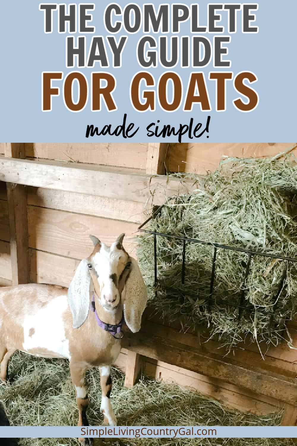 Best Hay to Feed Goats: A Complete Guide | Simple Living Country Gal