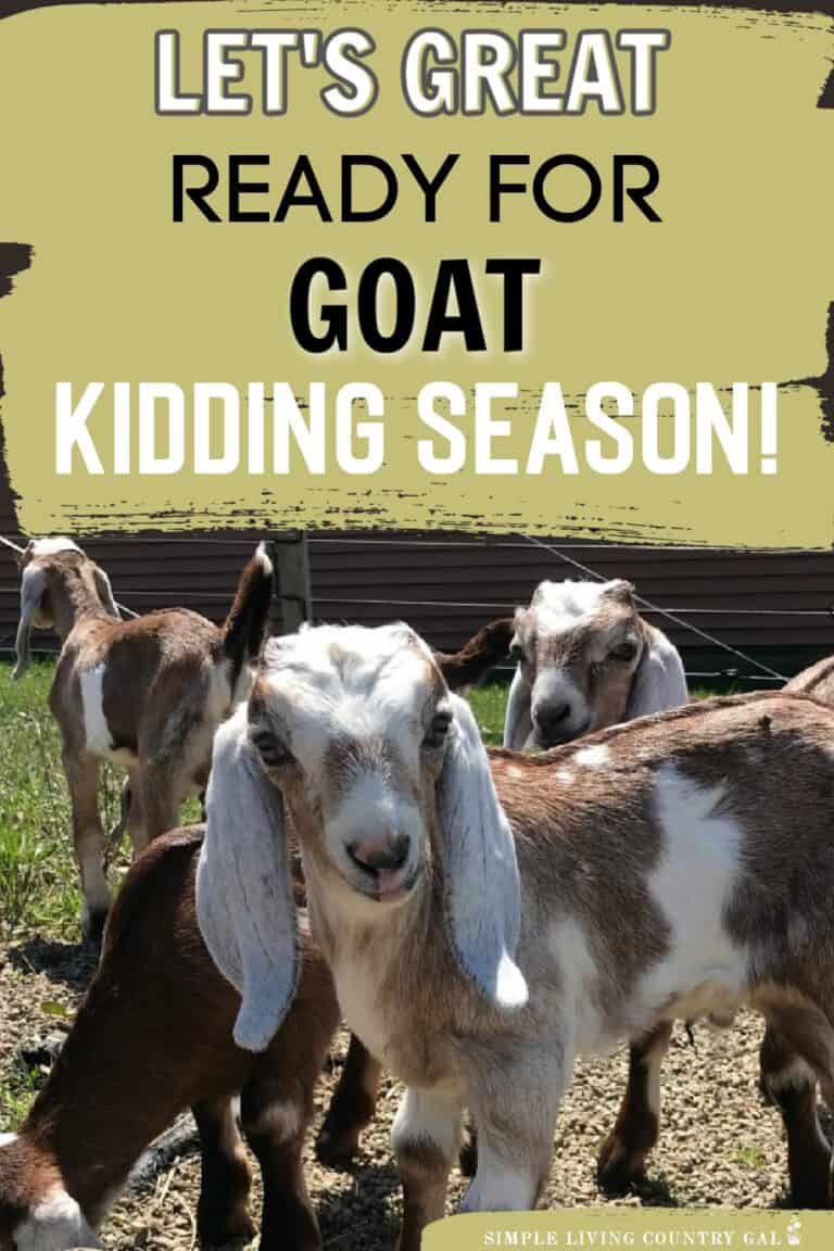 How to prepare for goat kidding | Simple Living Country Gal