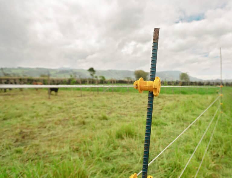 Movable Goat Fence | Simple Living Country Gal