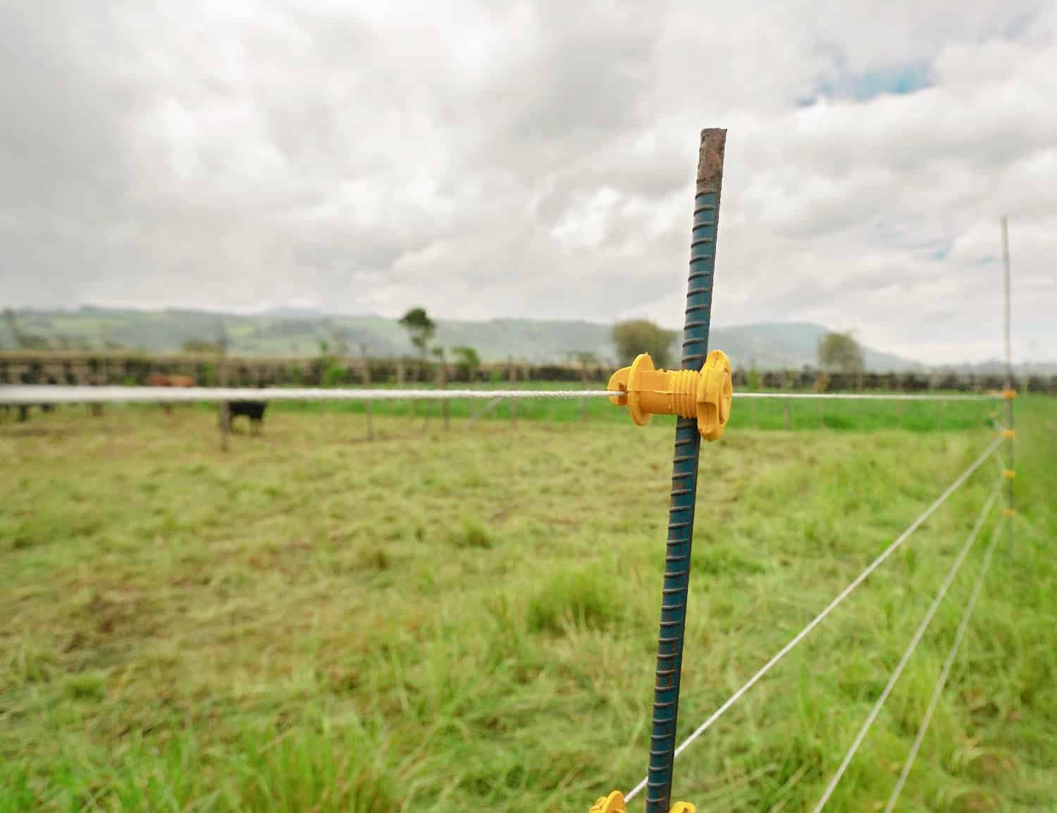 Movable Goat Fence | Simple Living Country Gal