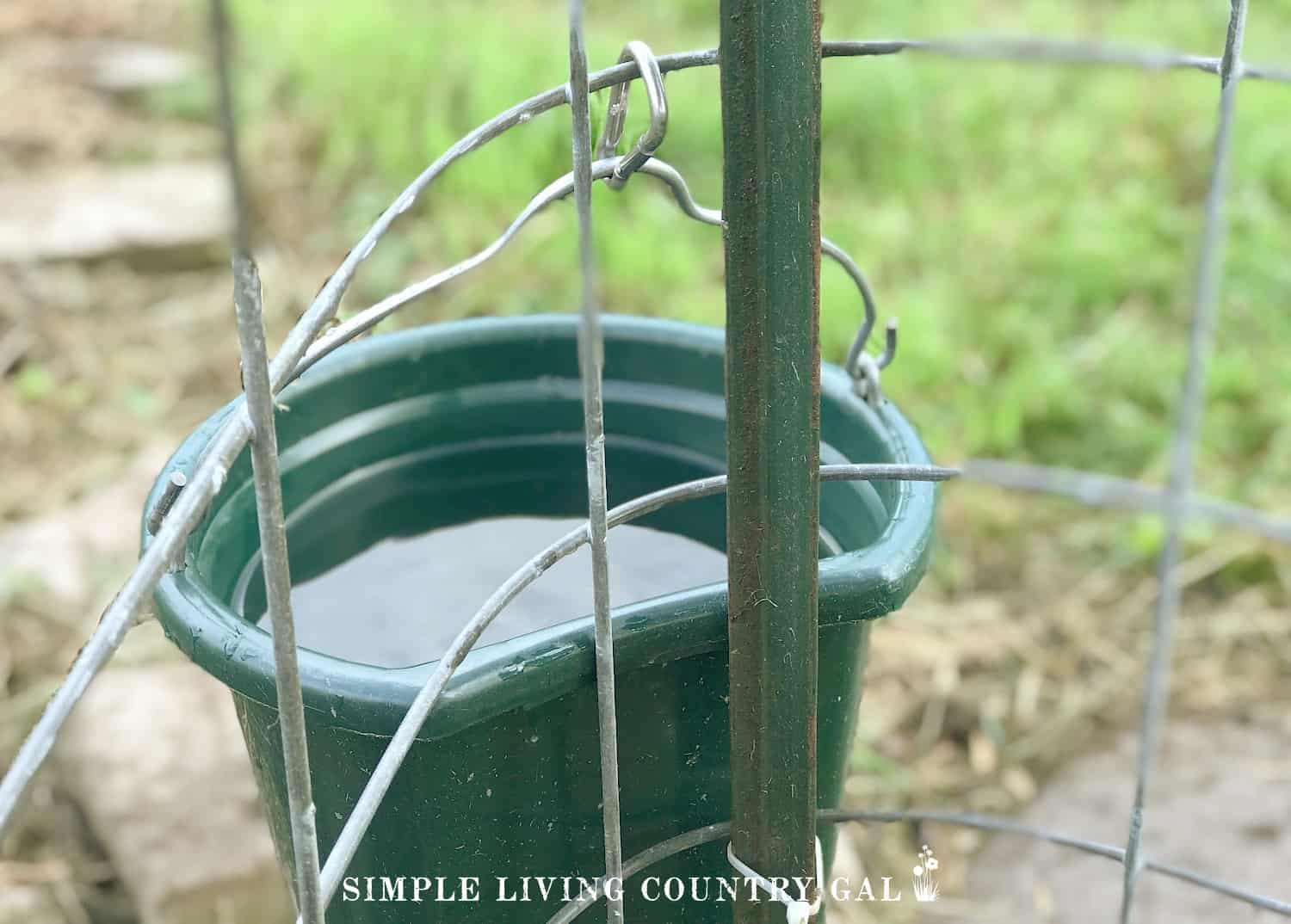 how to prepare for goats | Simple Living Country Gal