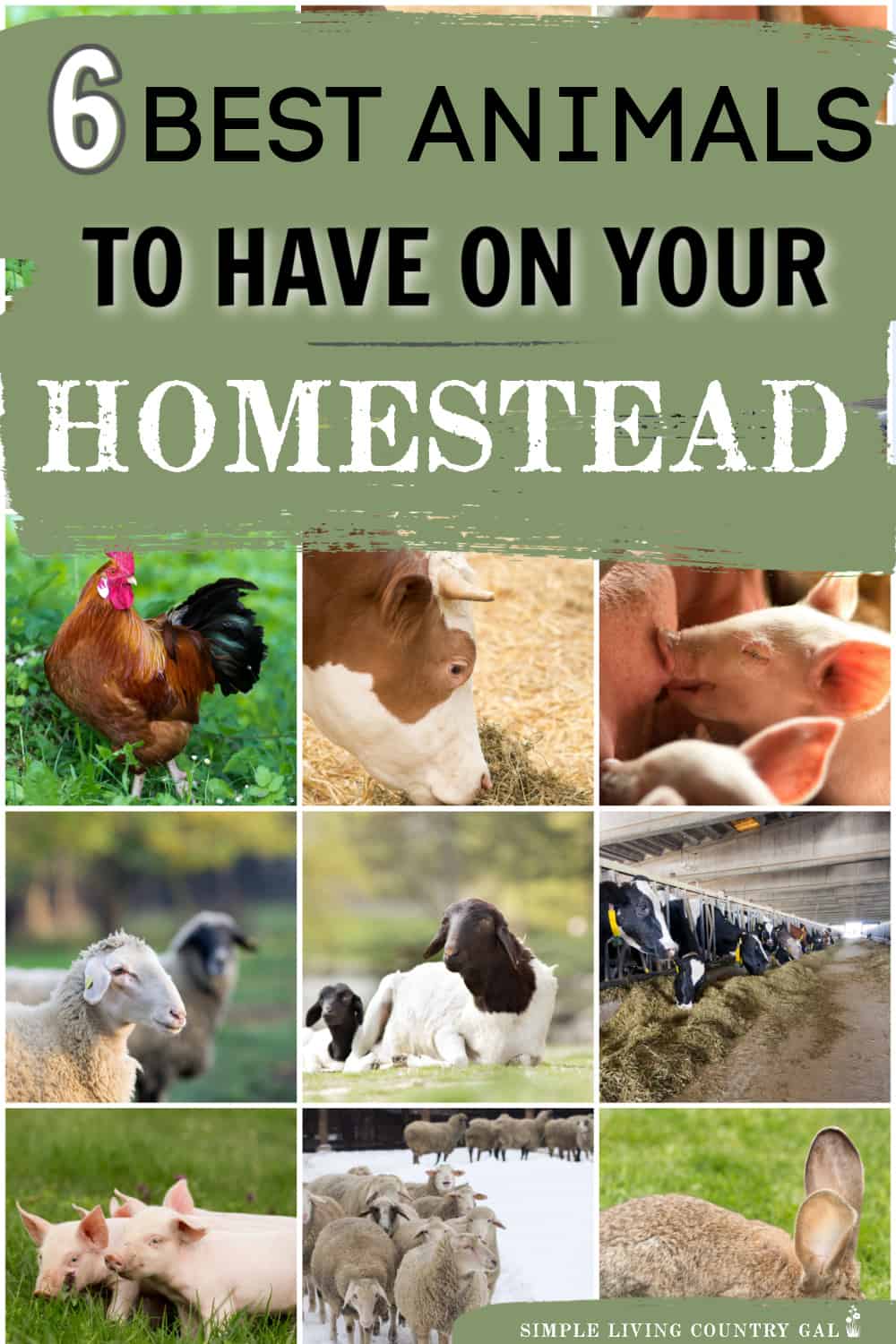 best animals for homesteading | Simple Living Country Gal